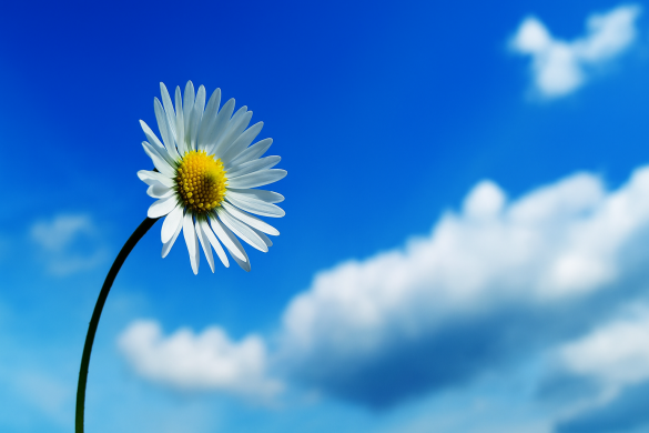 Mesec u Raka do ponedeljka (13.5) oko 12 - Astroregulus